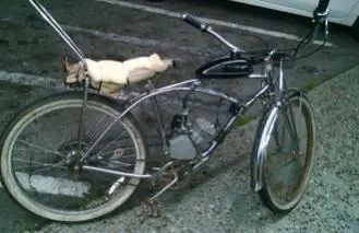 rsz bike | Motorized Bicycle Engine Kit Forum